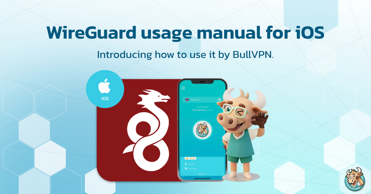 WireGuard usage manual for iOS by BullVPN | BullVPN Blog