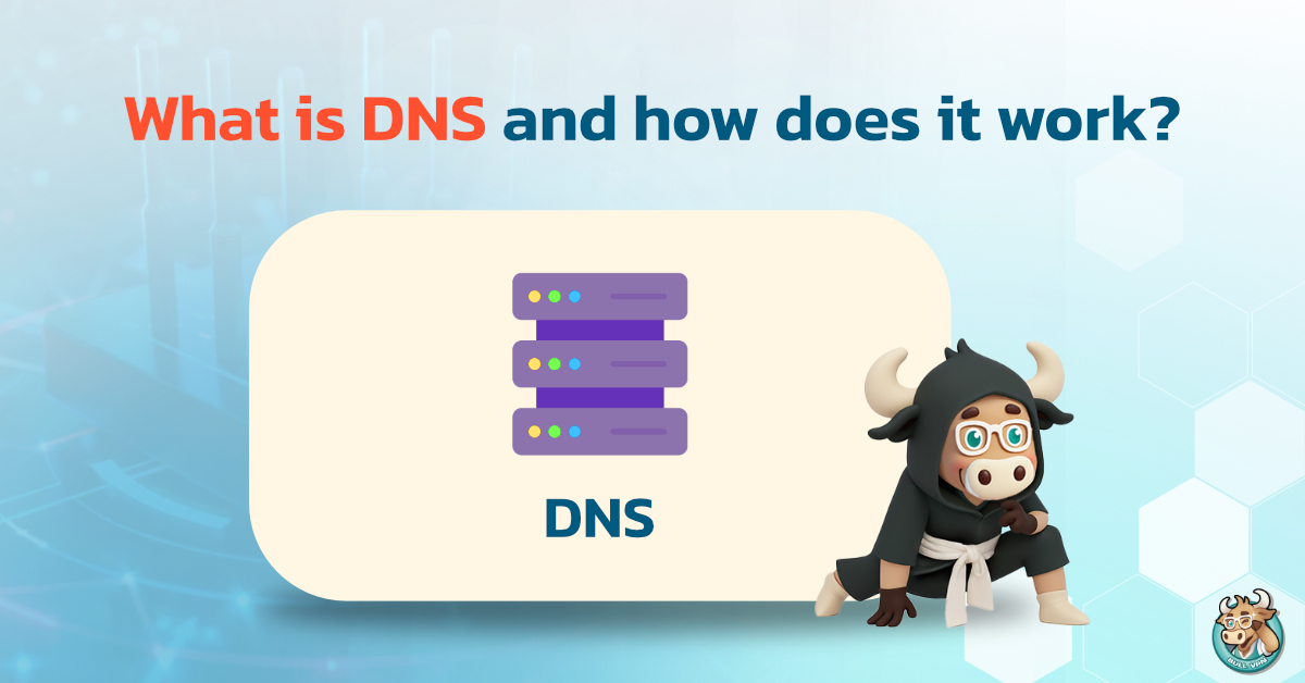 What is DNS and how does it work? | BullVPN Blog